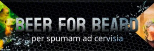BEER FOR BEARD [ говорим о пиве ]
