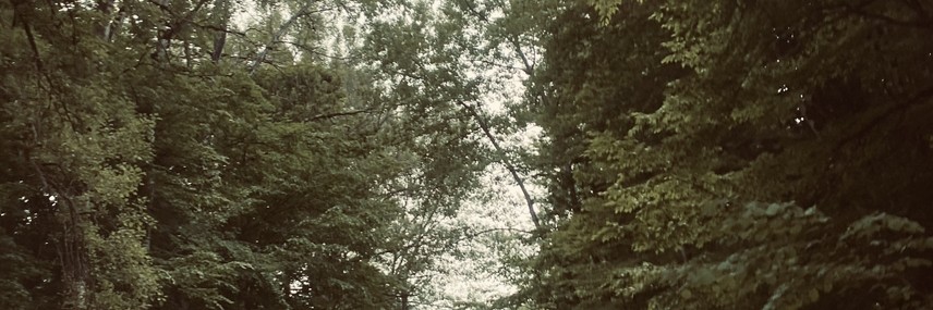 ИЗО Евгения Сергеевна