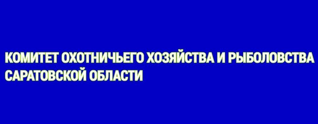 Комитет охоты Саратов