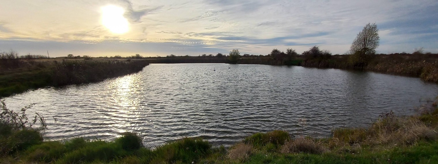 Пёрышко Игорь Юрьевич