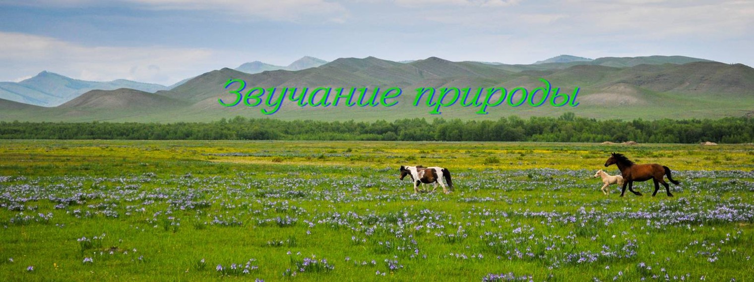 Звучание природы channel