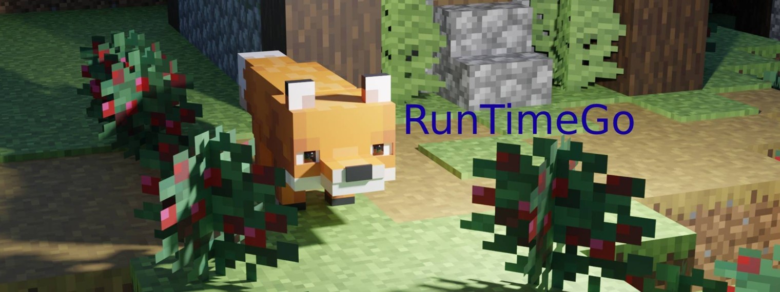 RunTimeGo