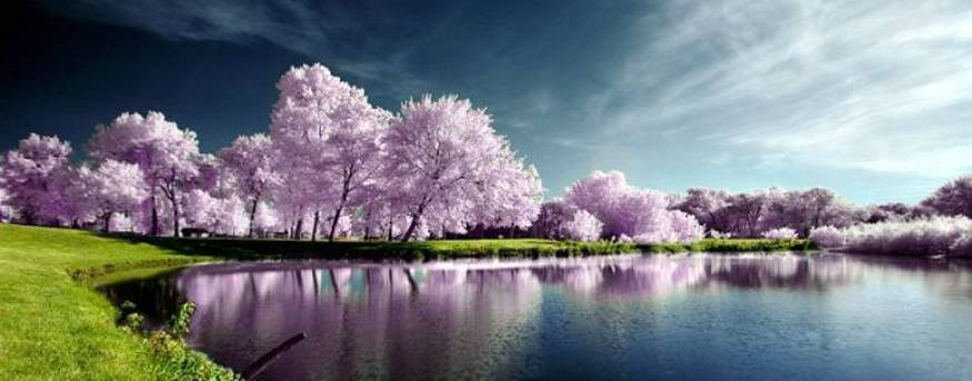 О разном и интересном