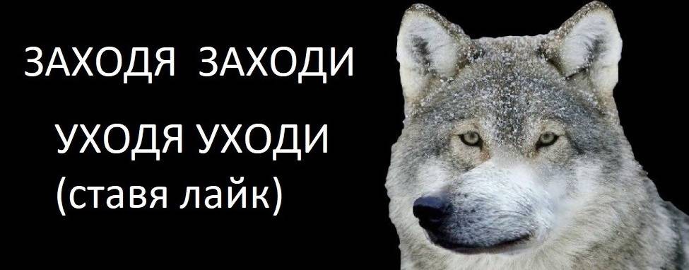 Для важных рофлов