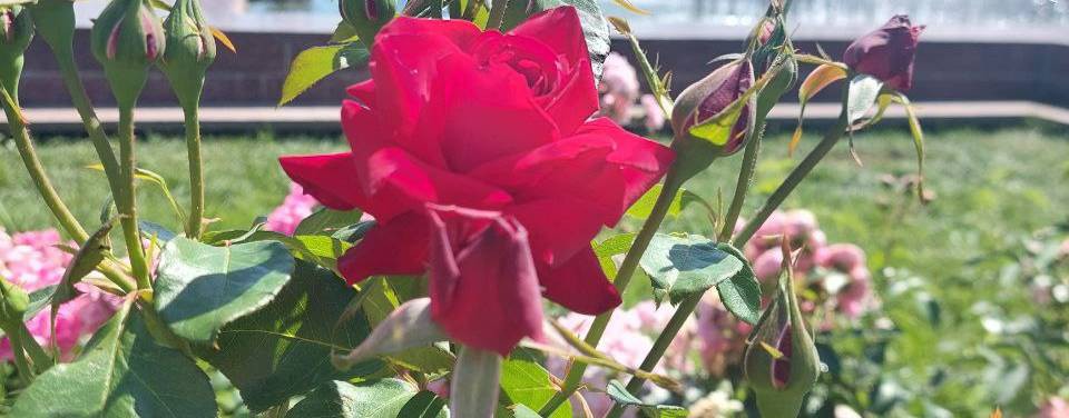 Марина Тихонова