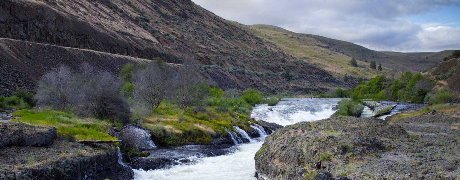 Даша Васильева