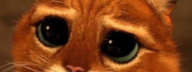 В борьбе за истину