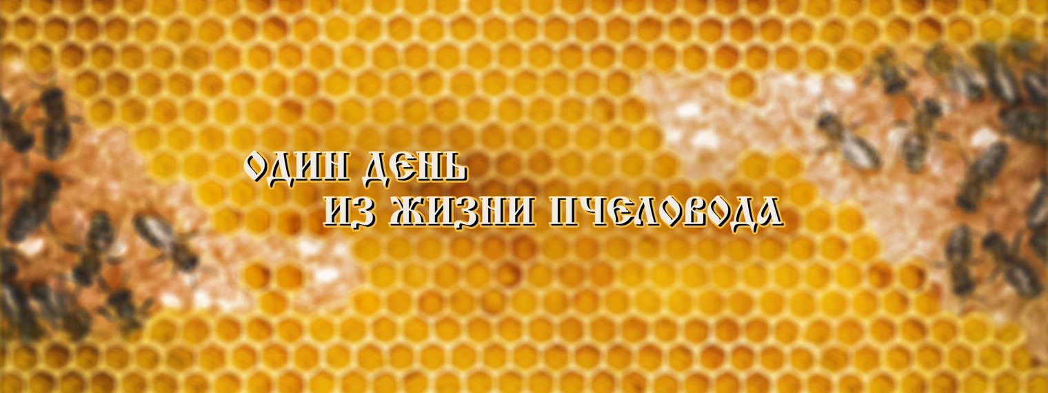 "ОДИН ДЕНЬ ИЗ ЖИЗНИ ПЧЕЛОВОДА"
