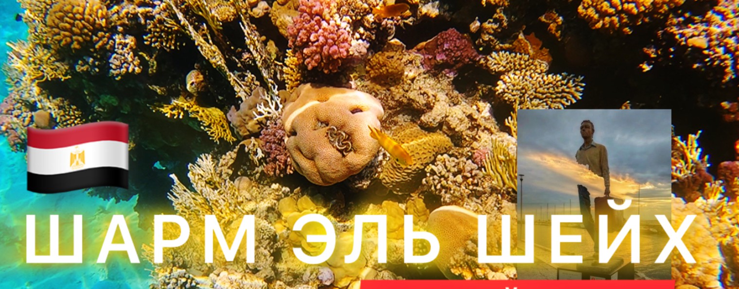 ТОТ САМЫЙ ФЕДОР -  честный обзор отелей