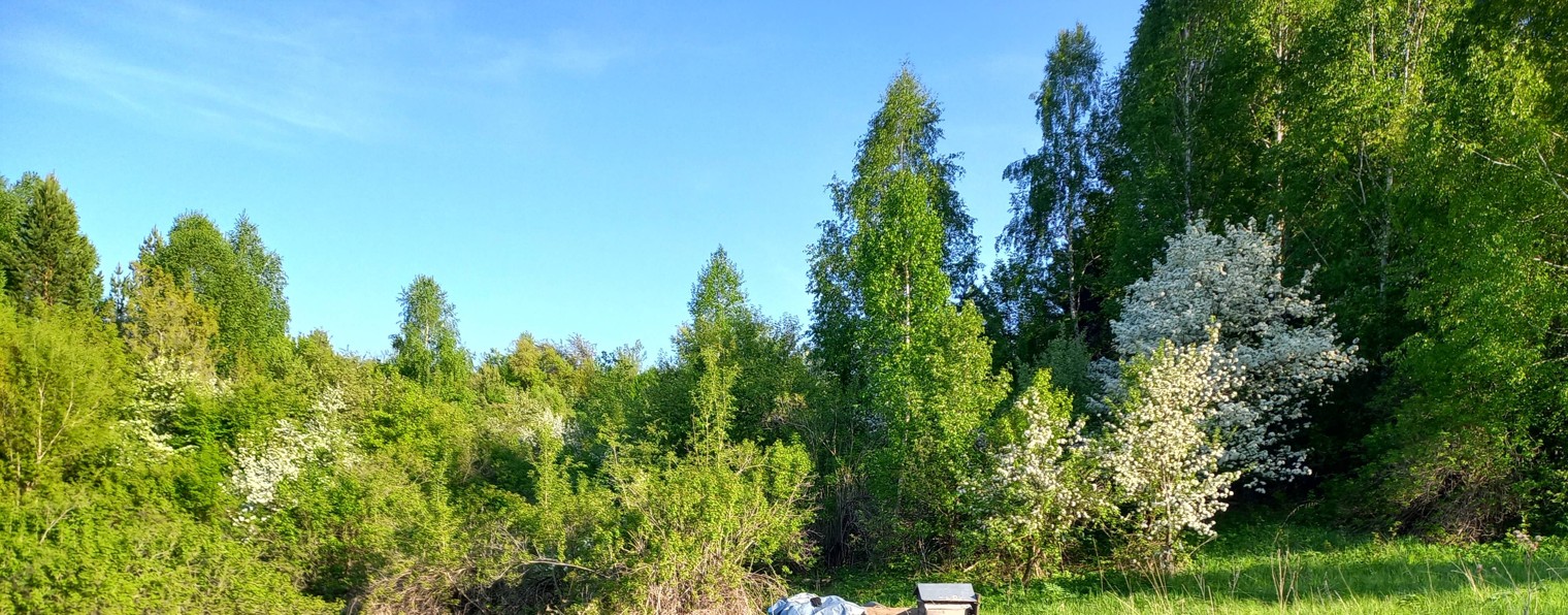 Удачная Дача.