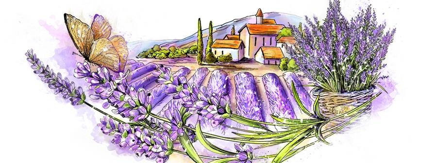 LAVANDA