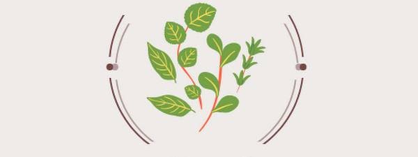 Тим Ян Кухня