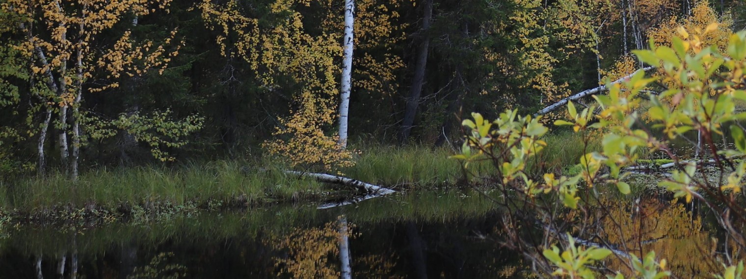 Готовлю & Отдыхаю