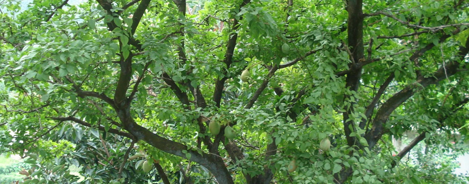 Кундалини Йога - Элина