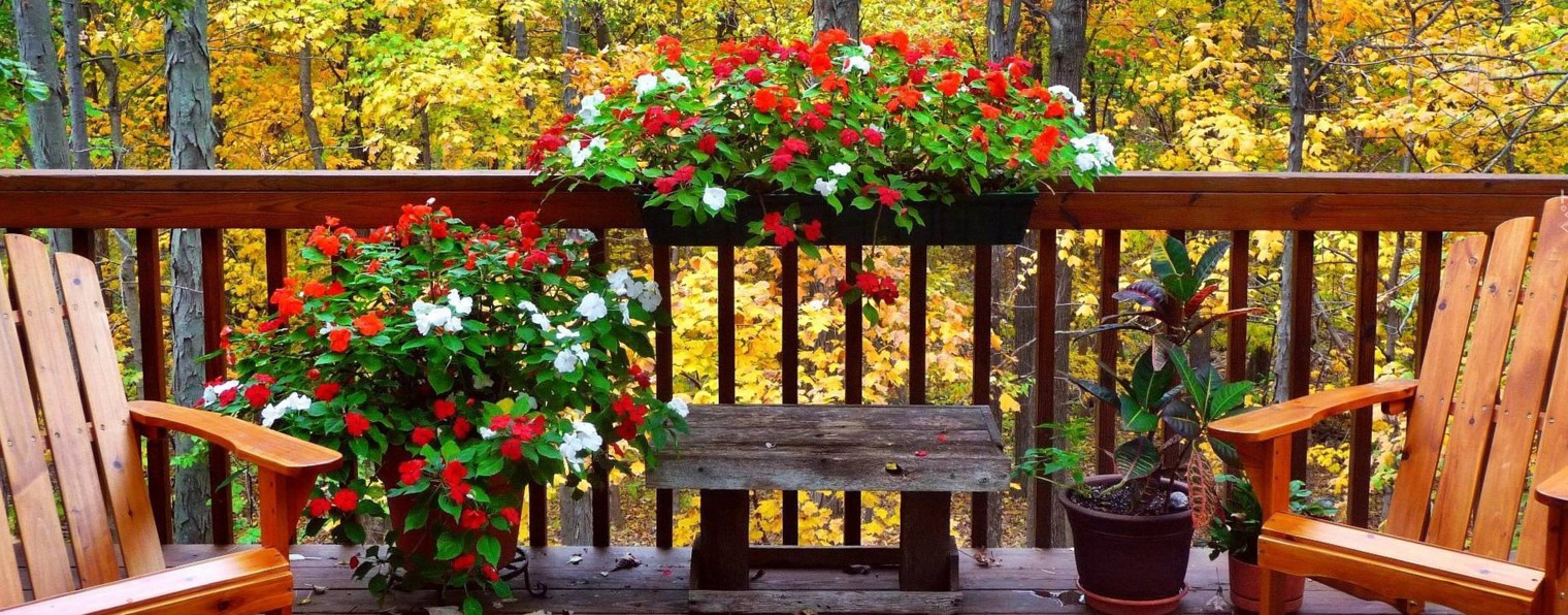 Хобби на природе