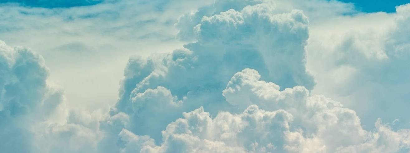 Взрослый ребёнок (Older child)