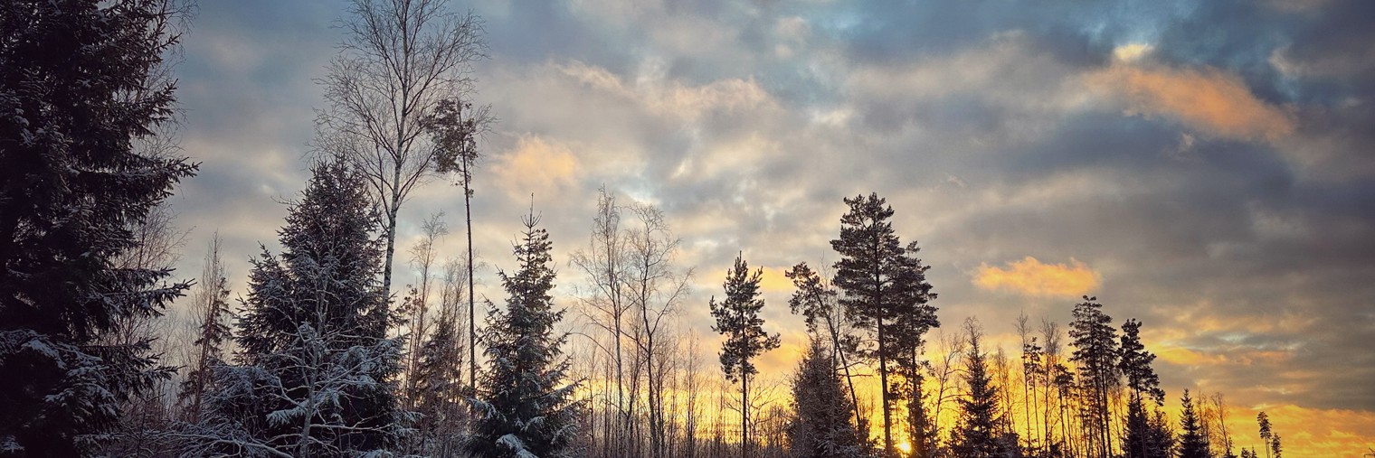 В поисках пятен и не только.