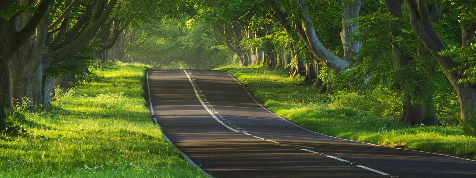 Путешествие и  доступность