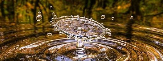 Здоровая печень , без гепатоза , консультация