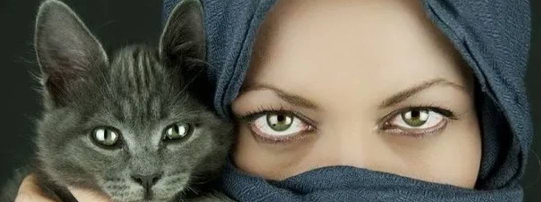 ЛА Лиска76.РазРомашка ДваРомашка.