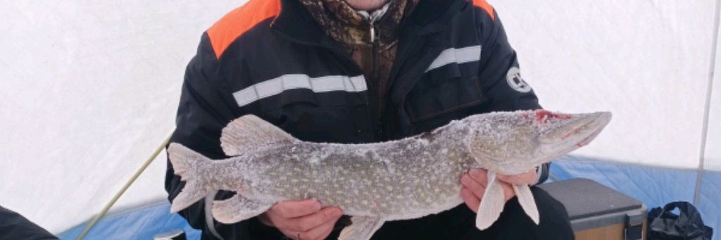 Рыбалка/Охота в ХМАО?