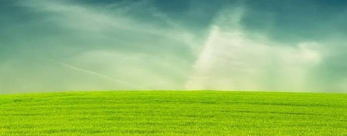 Компания ПитерСофт