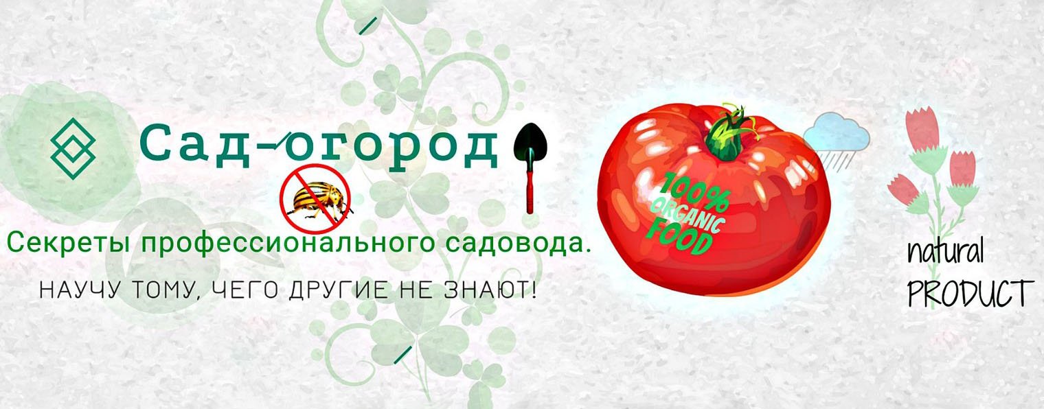 Сад-огород life