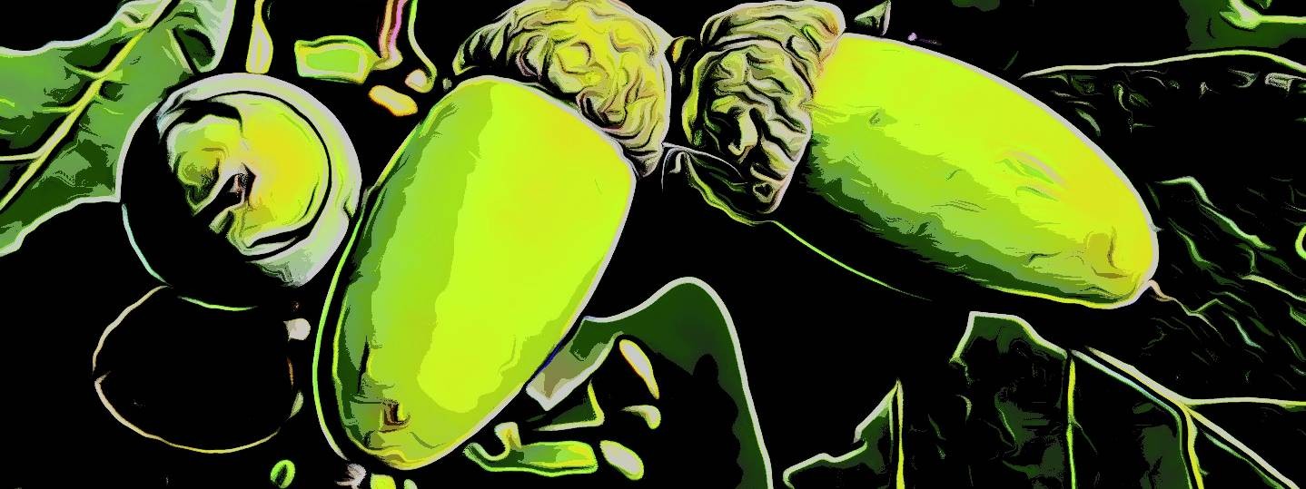 Максим Назаренко