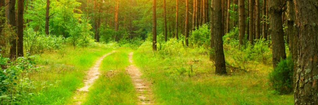 Юморист Андрей Боголюбский☀Тот самый весёлый чувак