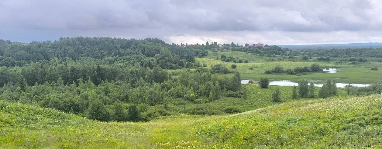 Всяко-разно семьи Егоровых