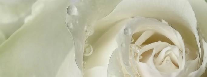 Домашний очаг с Натали