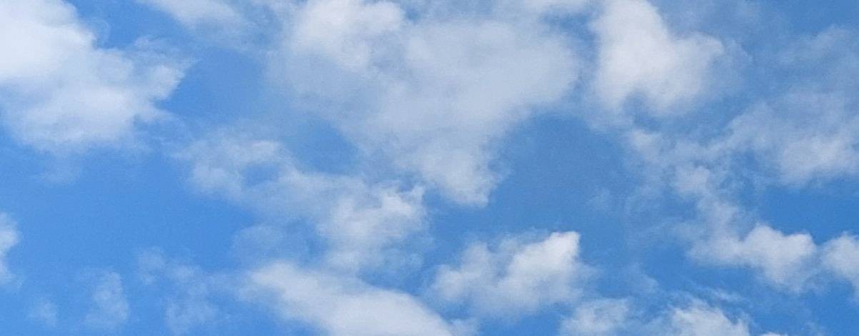 Светлана Чистова I Чистова знает всё