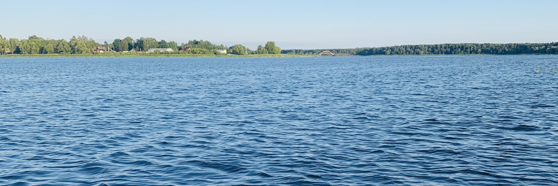 Питомник лабрадоров LEVINS_labrs