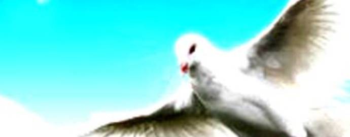 КРО АМИ "Аппарель"