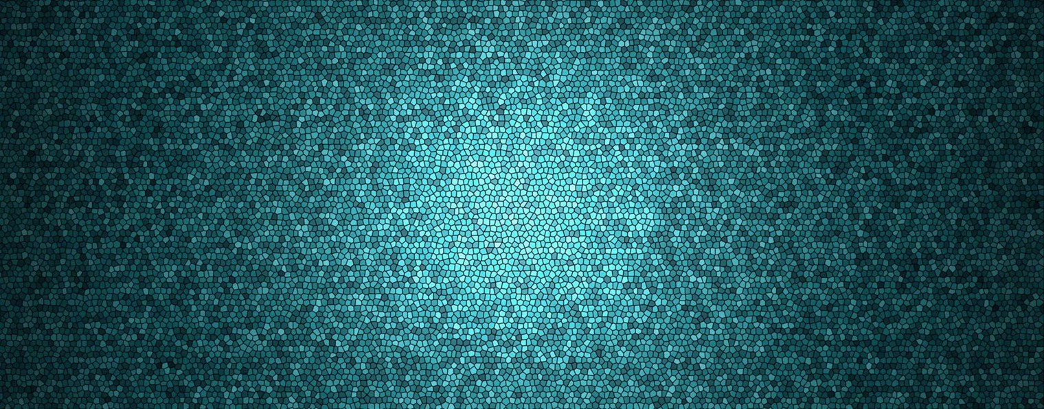 Розы Beauty Омск