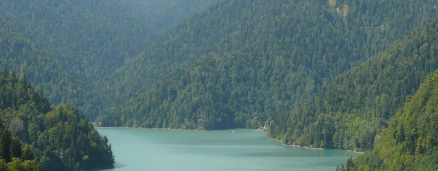 Виталий Горбунов Life