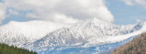 Живи активно!