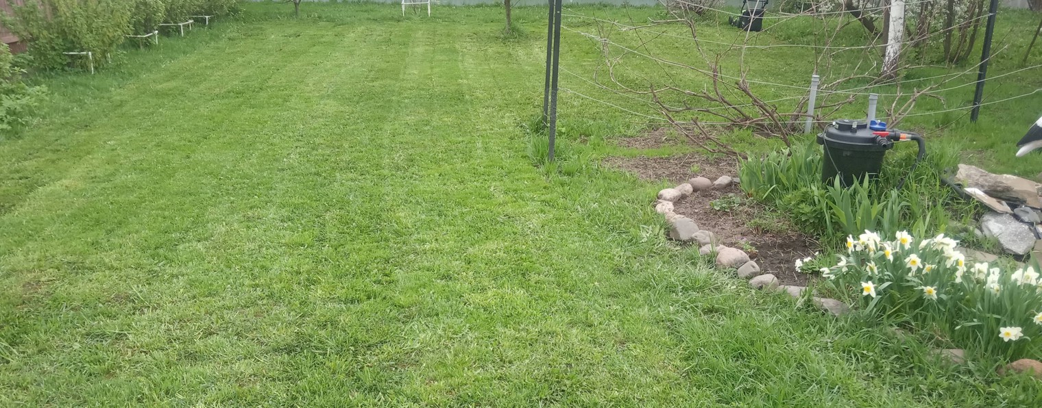 Алекс и Барси