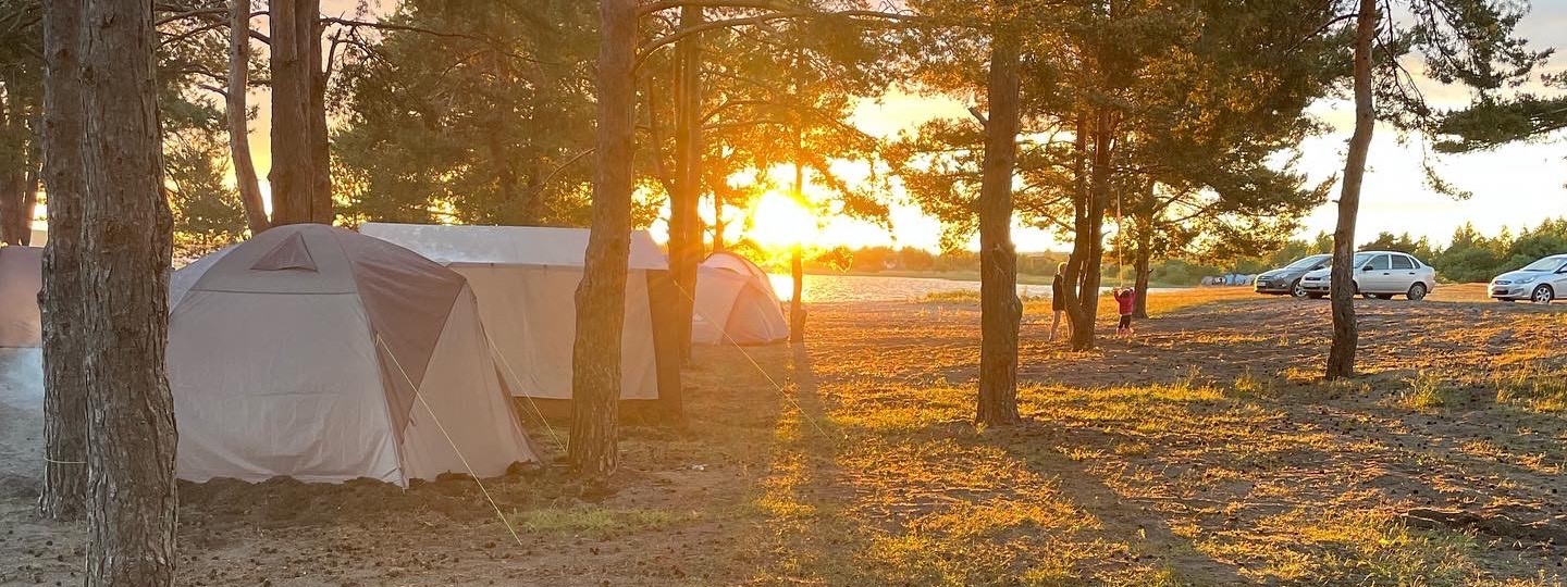 СВОИМ ХОДОМ