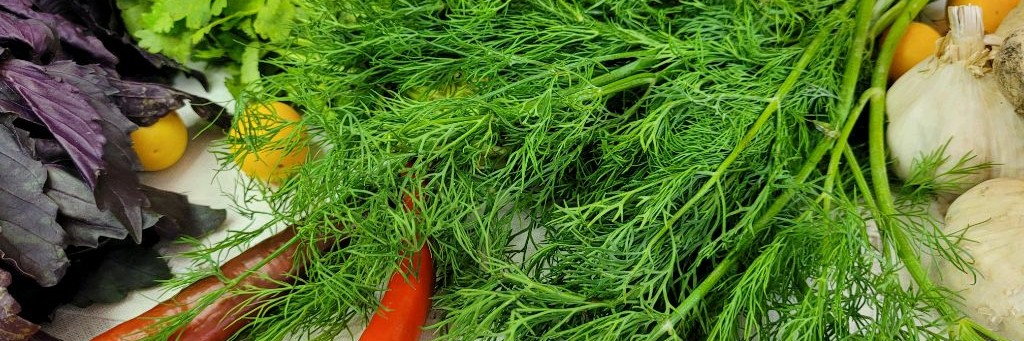 Аллка с пиалкой 🥙