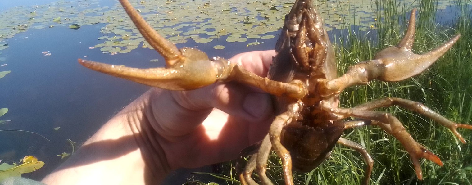 Духовный Наставник