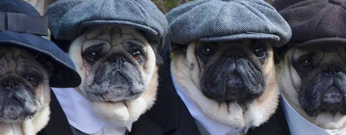 Приколы и не только!))).