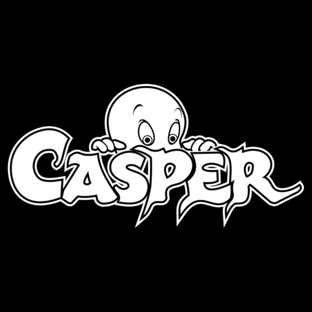 CASPER team