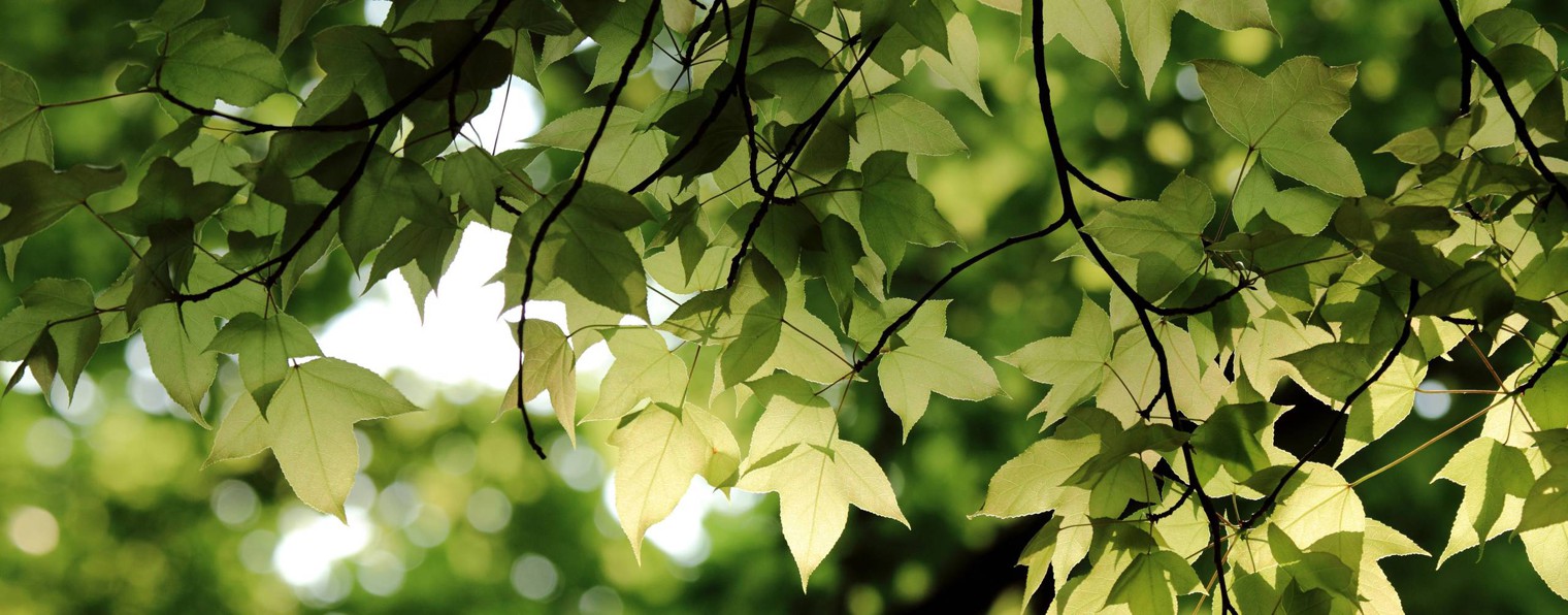 Будни с Людмилой