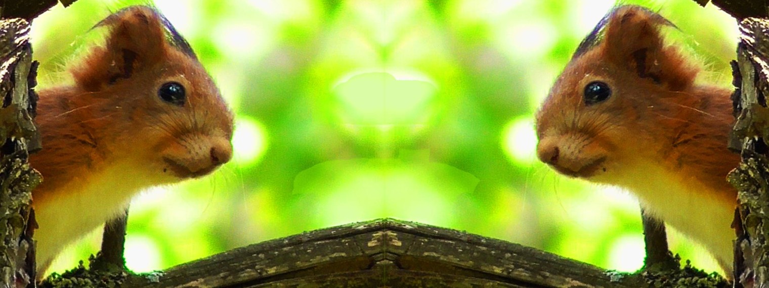 Волшебный Источник