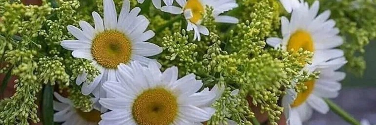 Наталья Вострикова