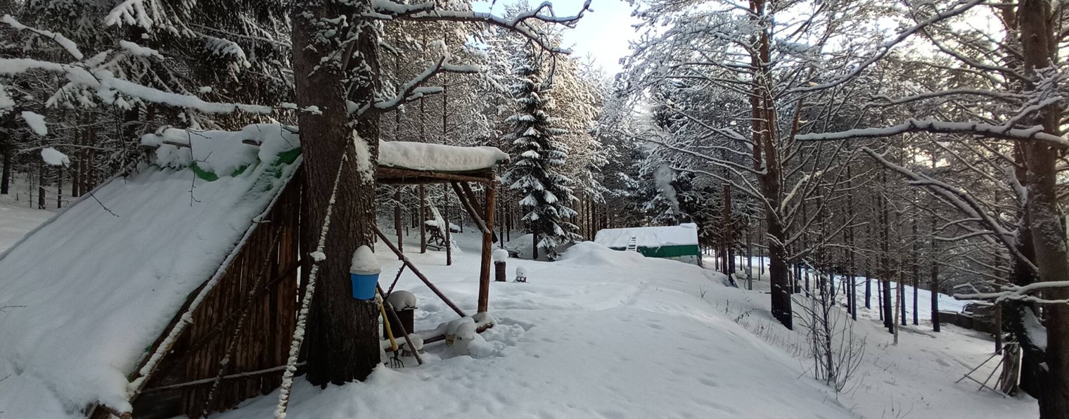 Дом в Тайге