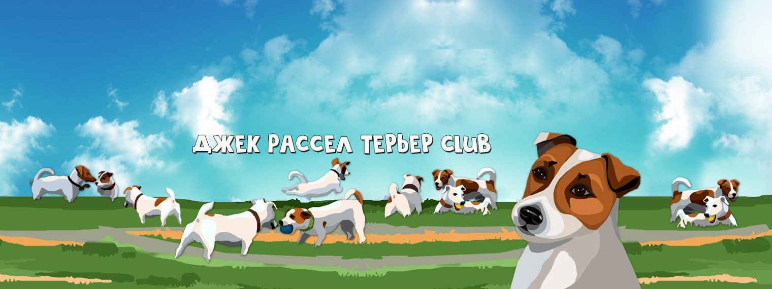 Усы, лапы и хвост. ДРТ club