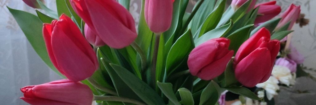 Наталья и Ирина live