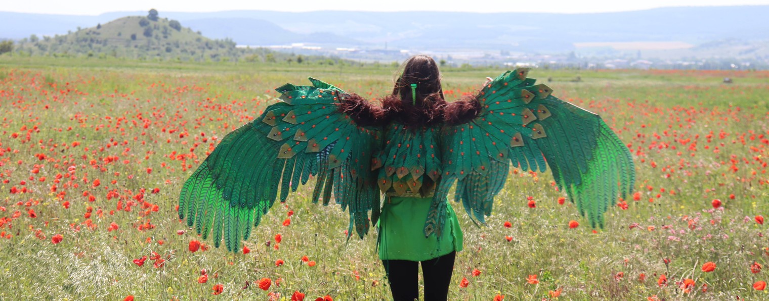 Вселенная Ориби Каммпирр